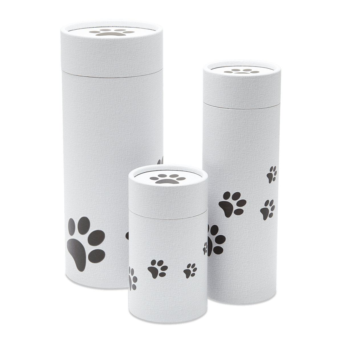 Paw Print Scattering Tube - Family Pet Care